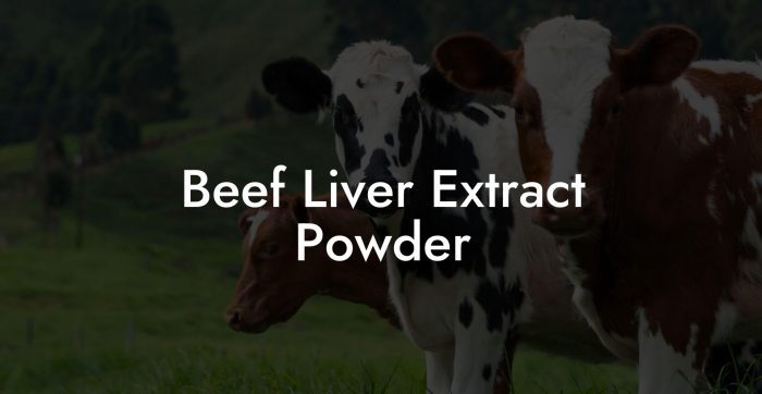 Beef Liver Extract Powder - Beef Liver Powders