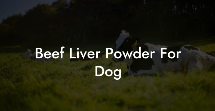 Beef Liver Powder For Dog - Beef Liver Powders