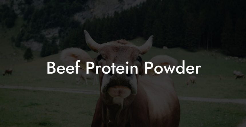Beef Protein Powder - Beef Liver Powders