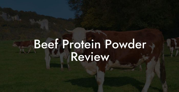 Beef Protein Powder Review - Beef Liver Powders