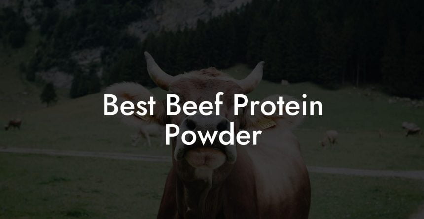 Best Beef Protein Powder - Beef Liver Powders