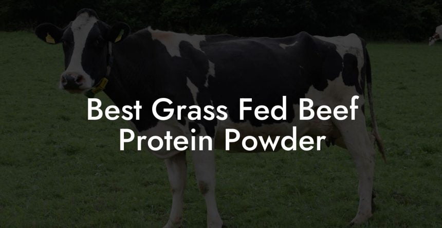 Best Grass Fed Beef Protein Powder - Beef Liver Powders