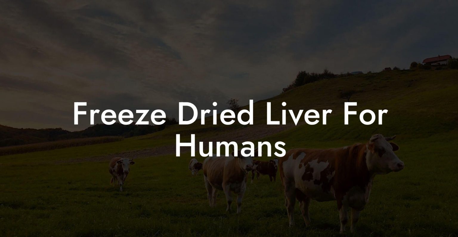Freeze Dried Liver For Humans - Beef Liver Powders