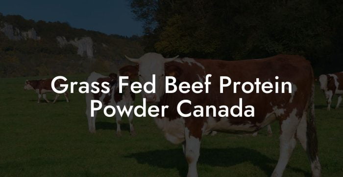 Grass Fed Beef Protein Powder Canada - Beef Liver Powders