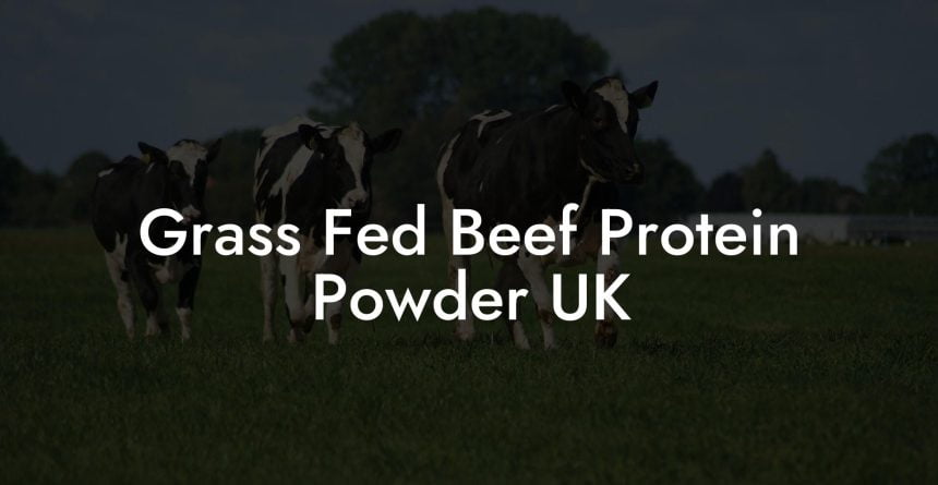 Grass Fed Beef Protein Powder UK - Beef Liver Powders