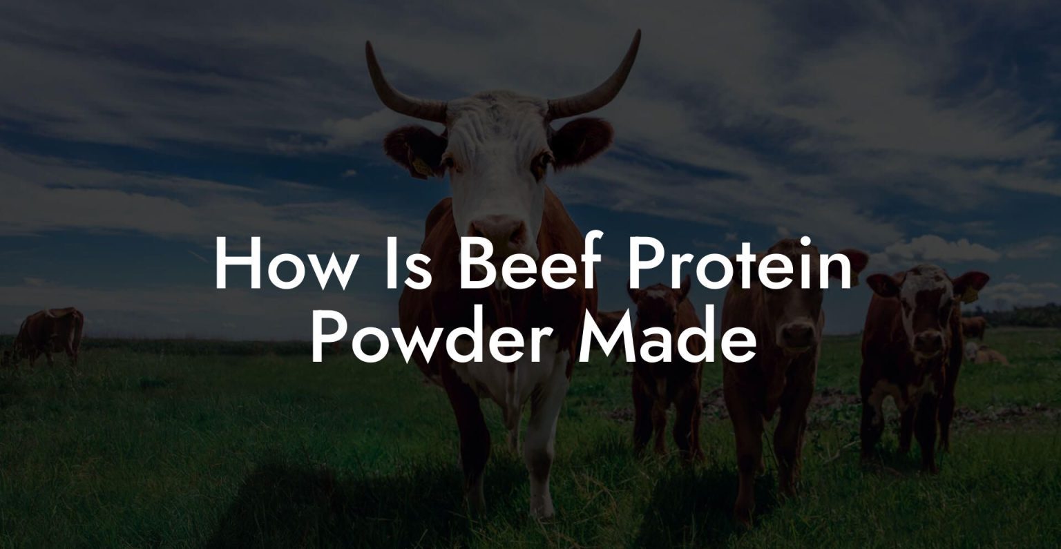 How Is Beef Protein Powder Made - Beef Liver Powders