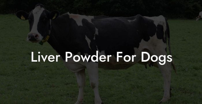 Liver Powder For Dogs - Beef Liver Powders