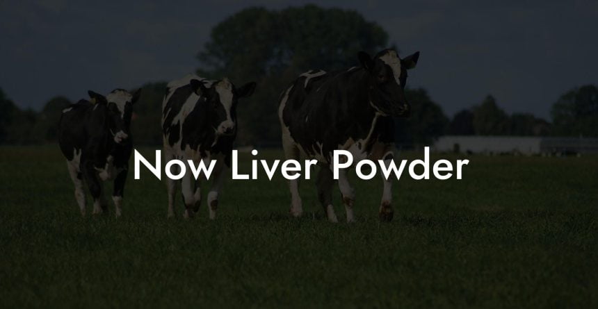 Now Liver Powder - Beef Liver Powders