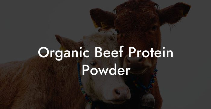 Organic Beef Protein Powder - Beef Liver Powders