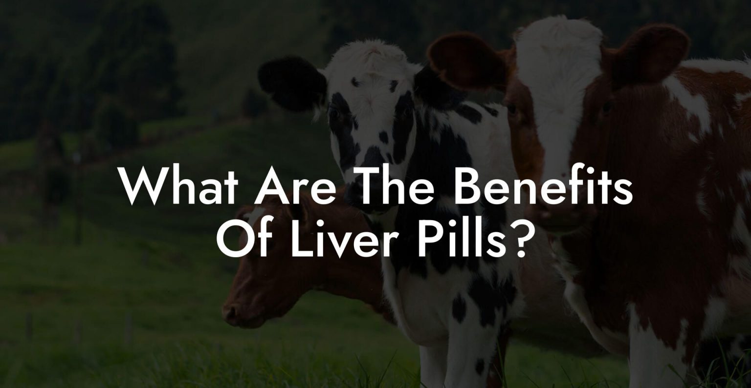 What Are The Benefits Of Liver Pills? - Beef Liver Powders