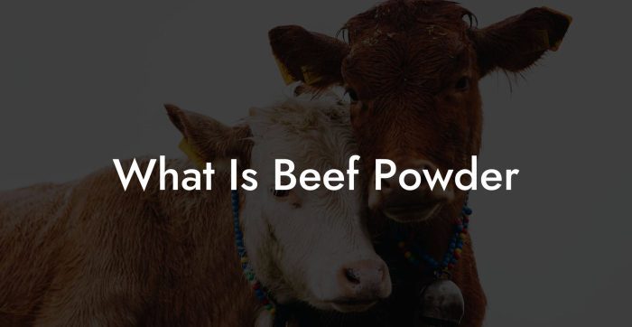 What Is Beef Powder - Beef Liver Powders
