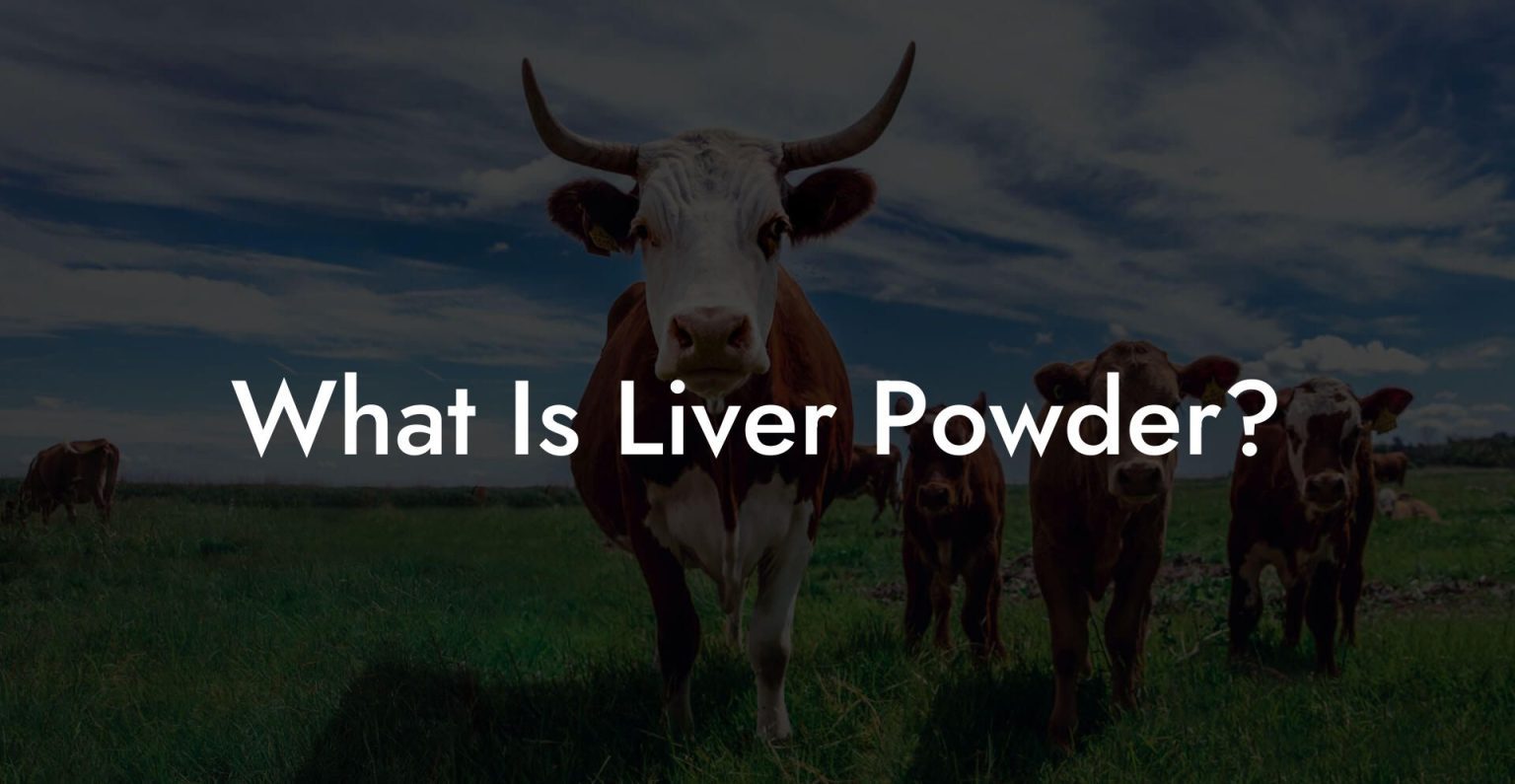 What Is Liver Powder? - Beef Liver Powders