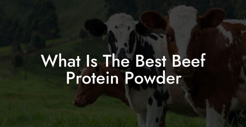 What Is The Best Beef Protein Powder - Beef Liver Powders